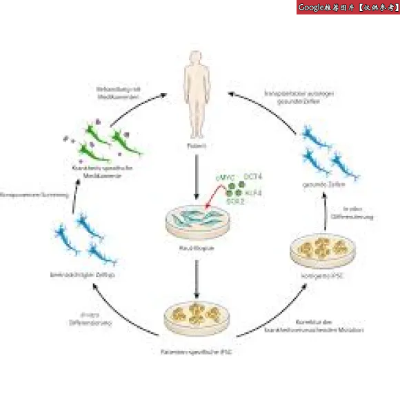 普拉达/Prada 烟草色 羊毛衫 UMA661 4NG F0005-小迈步海淘品牌官网