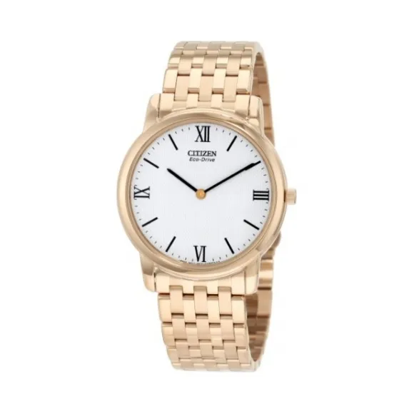 西铁城/Citizen Eco-Drive ECO DRIVE AR1123-51A-小迈步海淘品牌官网