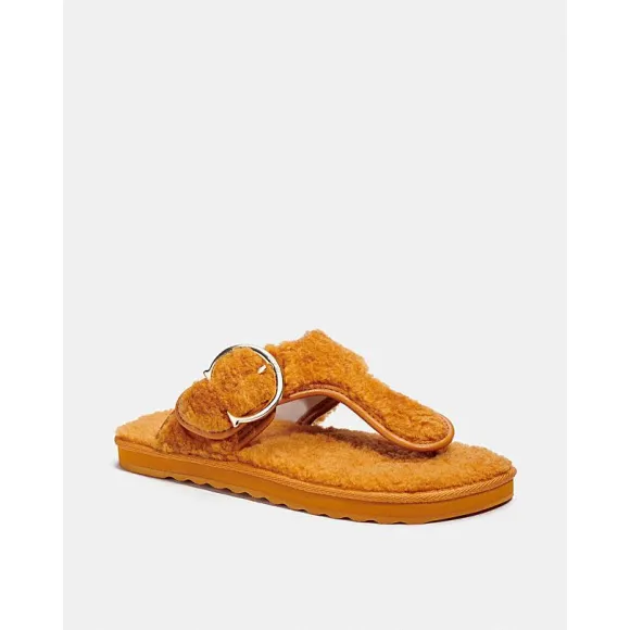 蔻驰/Coach HOLLIE人字拖 C6795-BTR-6B-小迈步海淘品牌官网