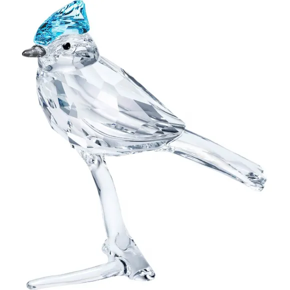 施华洛世奇/Swarovski 冠蓝鸦 5470647-小迈步海淘品牌官网