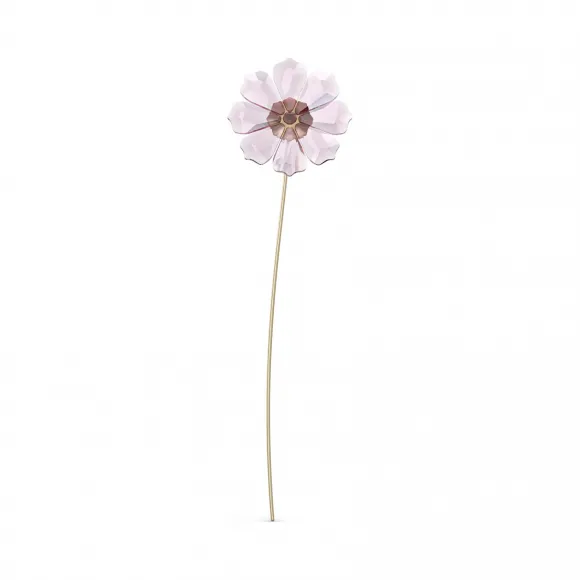 施华洛世奇/Swarovski Garden Tales－波斯菊 5557801-小迈步海淘品牌官网