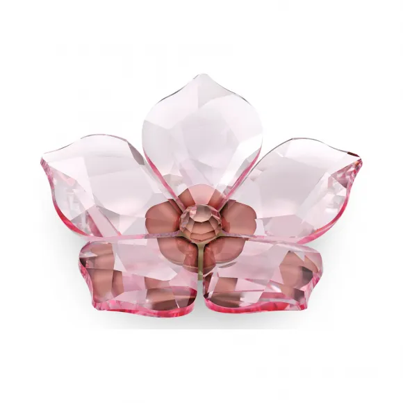 施华洛世奇/Swarovski Garden Tales－樱花磁石 大 5580026-小迈步海淘品牌官网