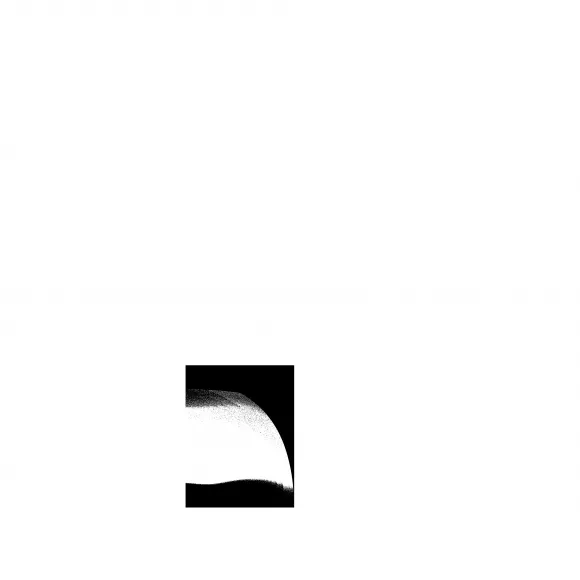 施华洛世奇/Swarovski Idyllia 花 大 5639886-小迈步海淘品牌官网